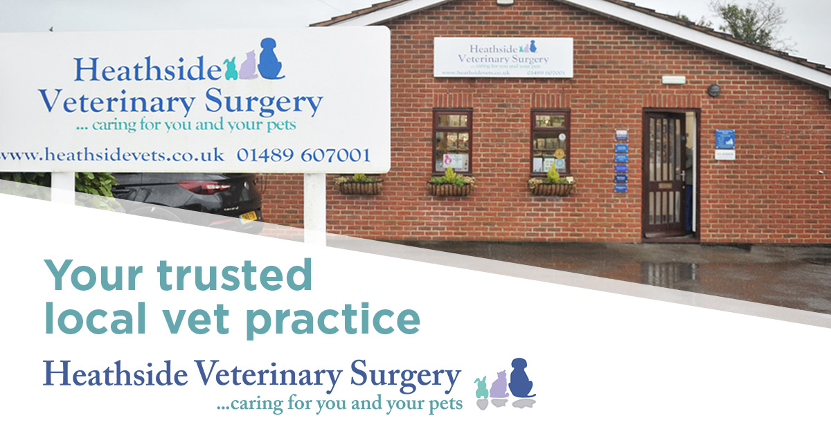 Heathside Veterinary Surgery , Southampton - Local Vets Near Me