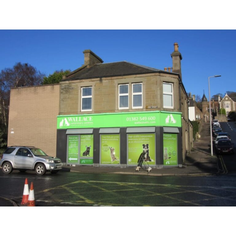 Wallace Vets - Broughty Ferry , Dundee - Local Vets Near Me