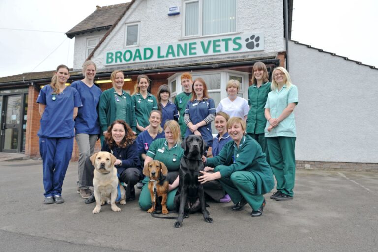 Broad Lane Vets , Coventry - Local Vets Near Me