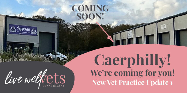 Live Well Vets - Caerphilly , Caerphilly - Local Vets Near Me