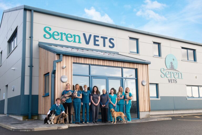 Seren Vets , Carmarthen - Local Vets Near Me