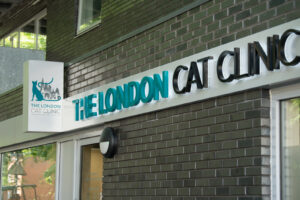 The London Cat Clinic , London - Local Vets Near Me